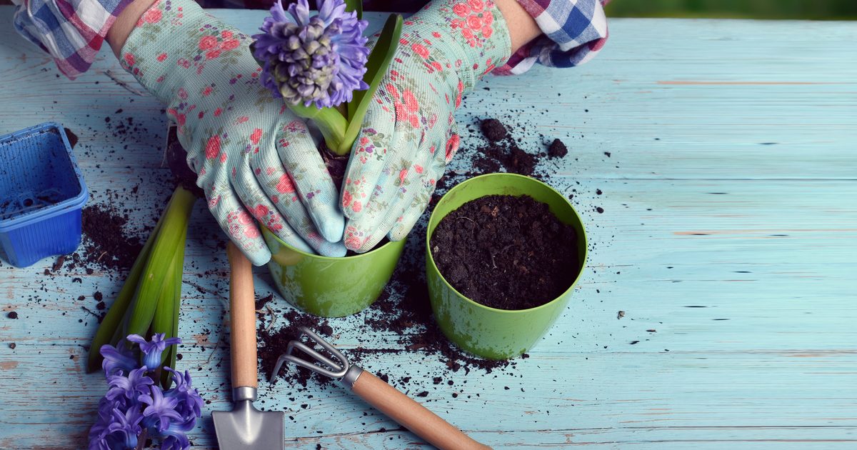 8 bad gardening habits you're probably doing | HappySprout