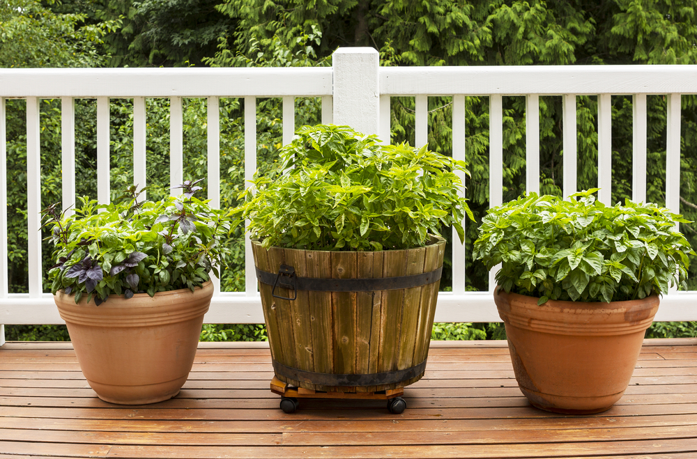 Deck Garden Ideas Everyone Can Use | HappySprout