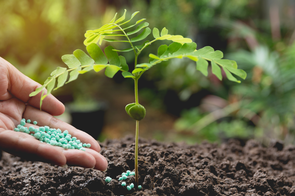 The 5 best soil conditioners we've found this year | HappySprout