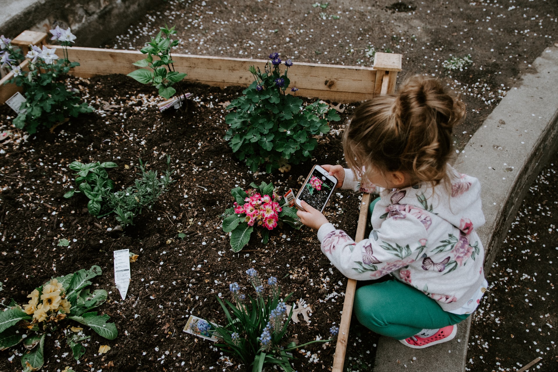 6 TikTok accounts to check out for garden inspiration | HappySprout