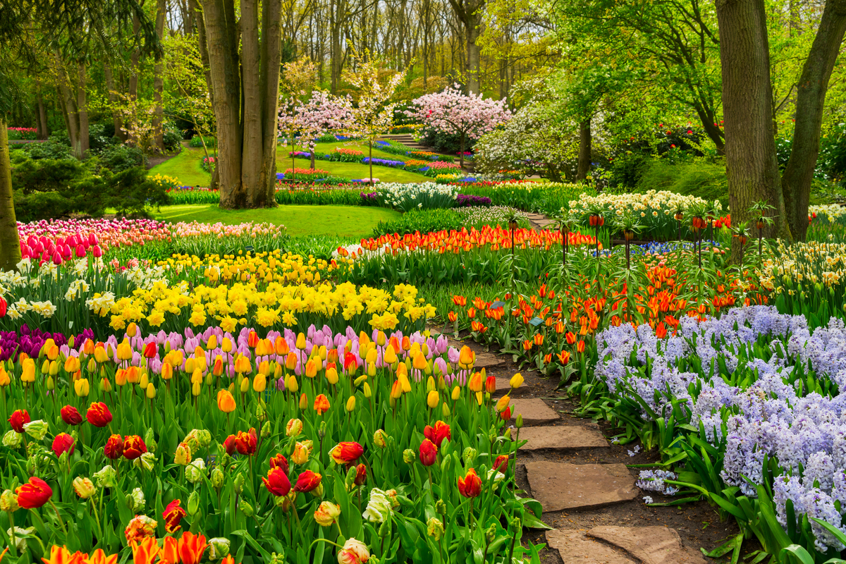 Planning a four-season garden? Here's what to consider | HappySprout