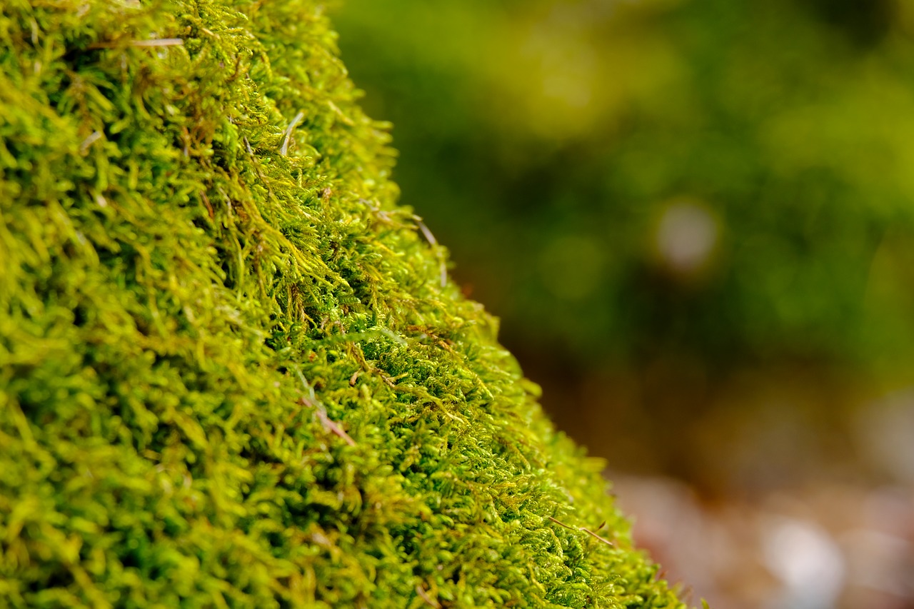HappySprout | Every gardener's happy place