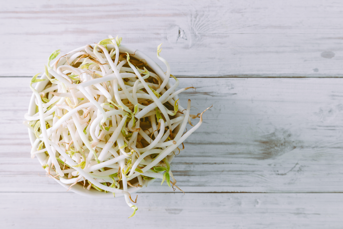 The Easiest Way To Grow Bean Sprouts Indoors | HappySprout