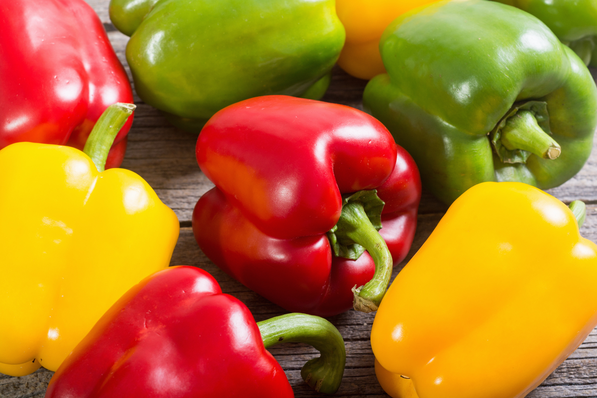 How to Plant Bell Peppers For A Tasty Addition To Your Garden | HappySprout