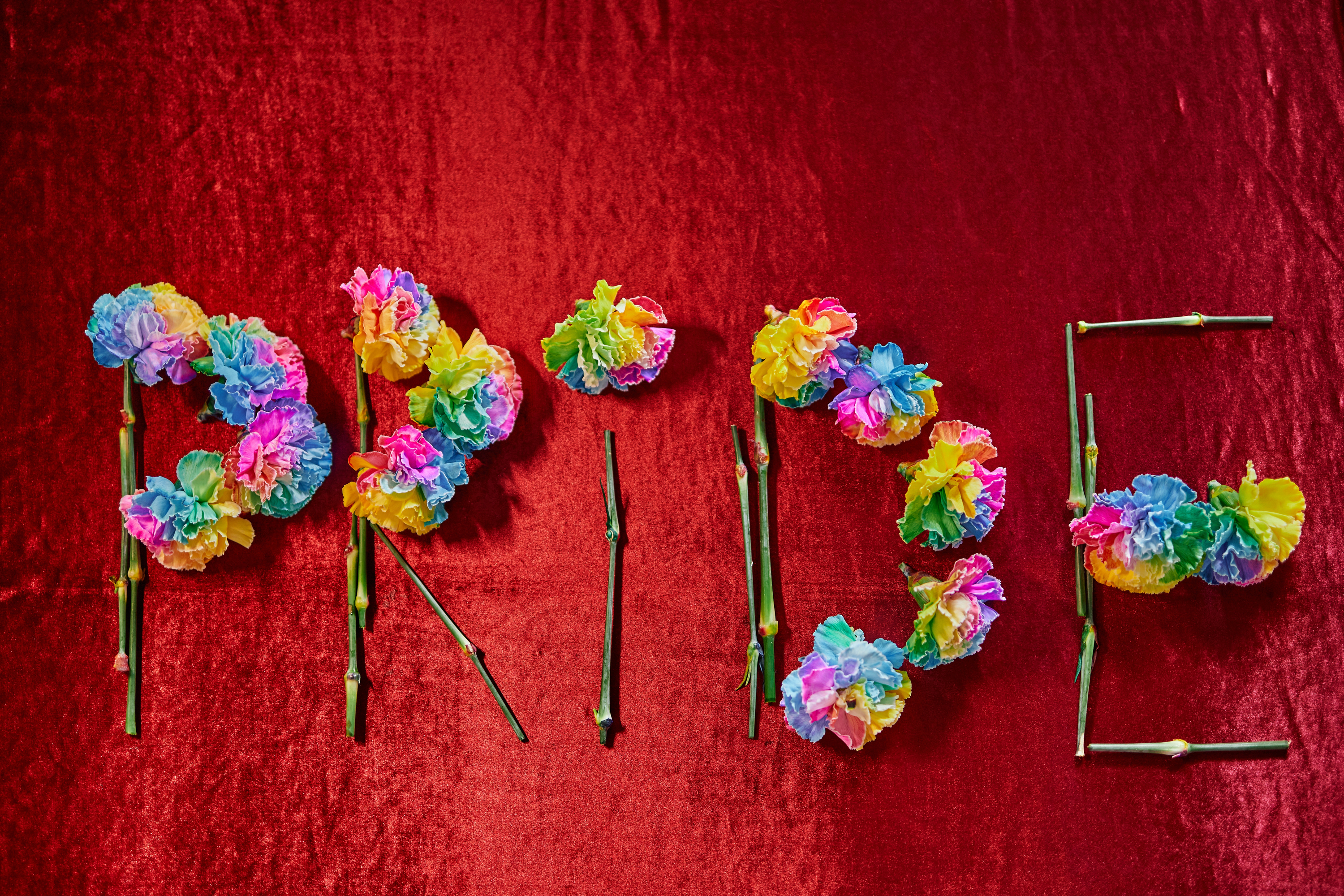 Show Off Your Pride With These Great Flower Arrangements | HappySprout