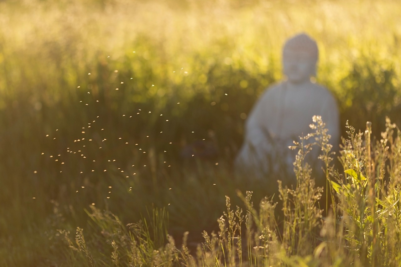 How to make a homemade gnat trap | HappySprout